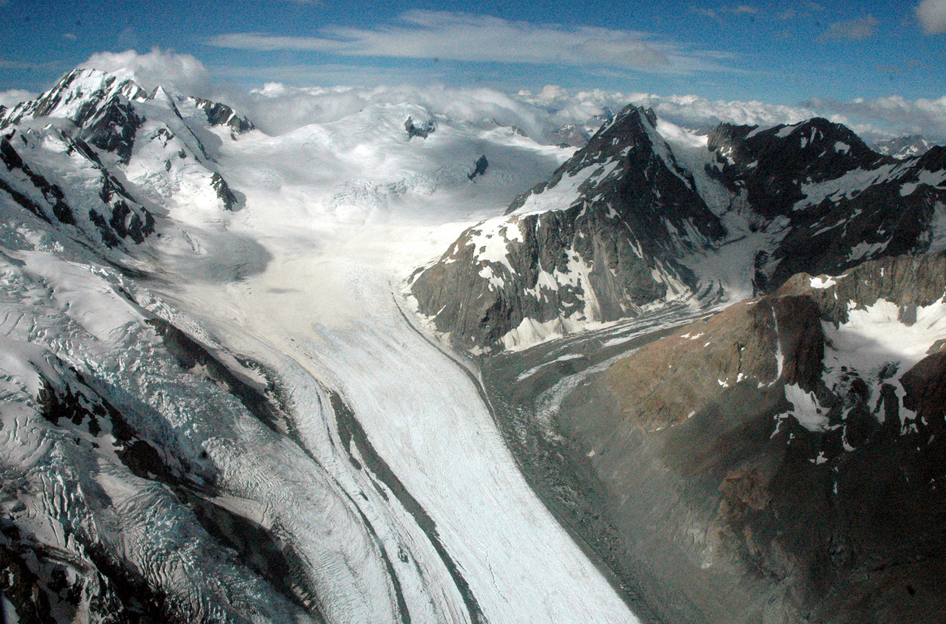 Mountain Biome Ecosystem
